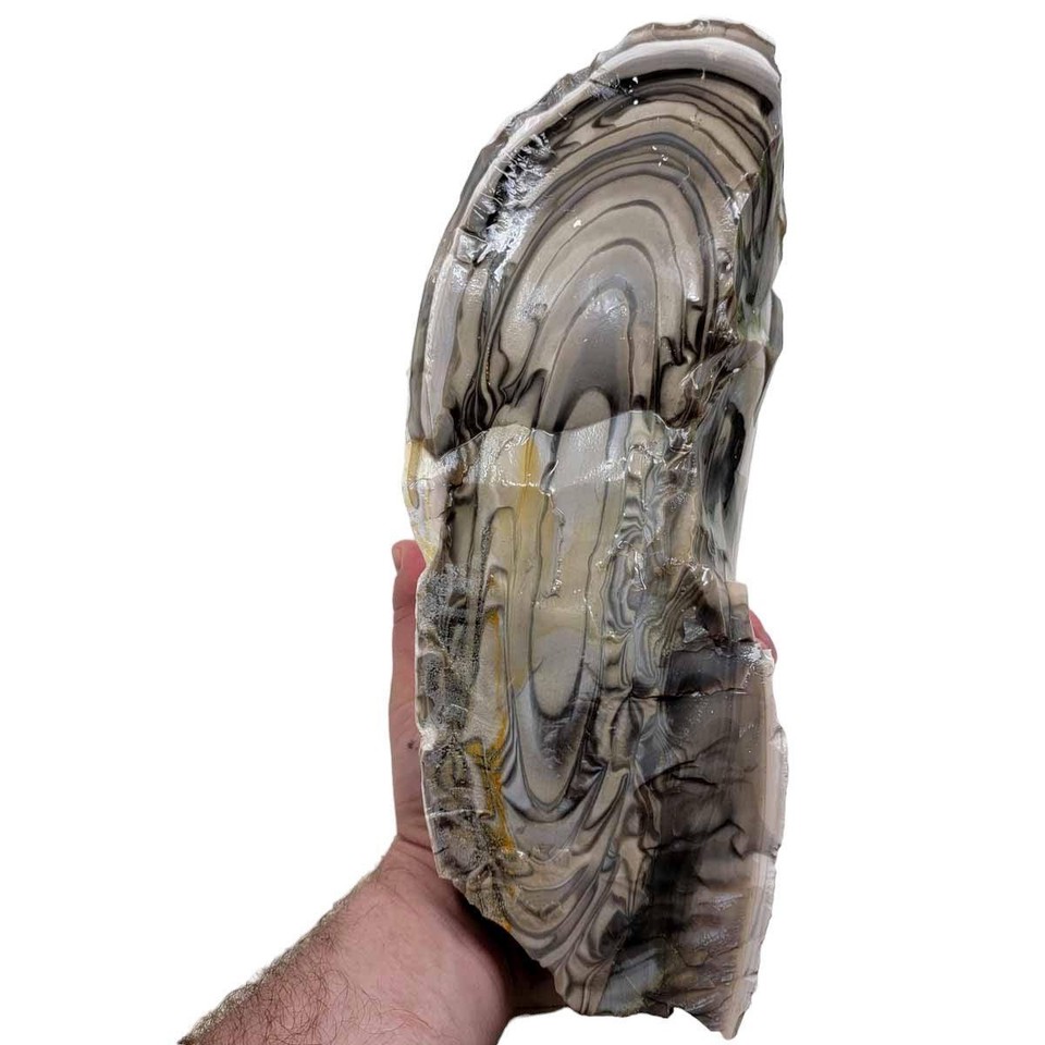 RARE Polish Flint Orbicular Rough Chunk! | eBay