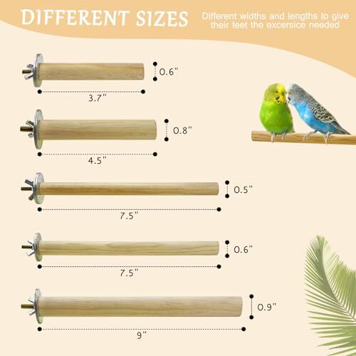 Bird Perch, 5 PCS of Natural with Different Widths and Lengths Wood ...