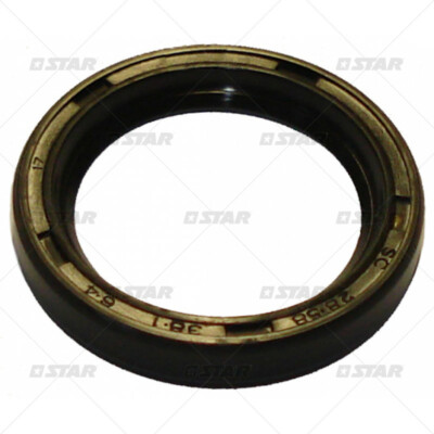 10 pcs in a Packacge *** OIL SEAL Delphi DPA DPC Pump 5393-252U | eBay