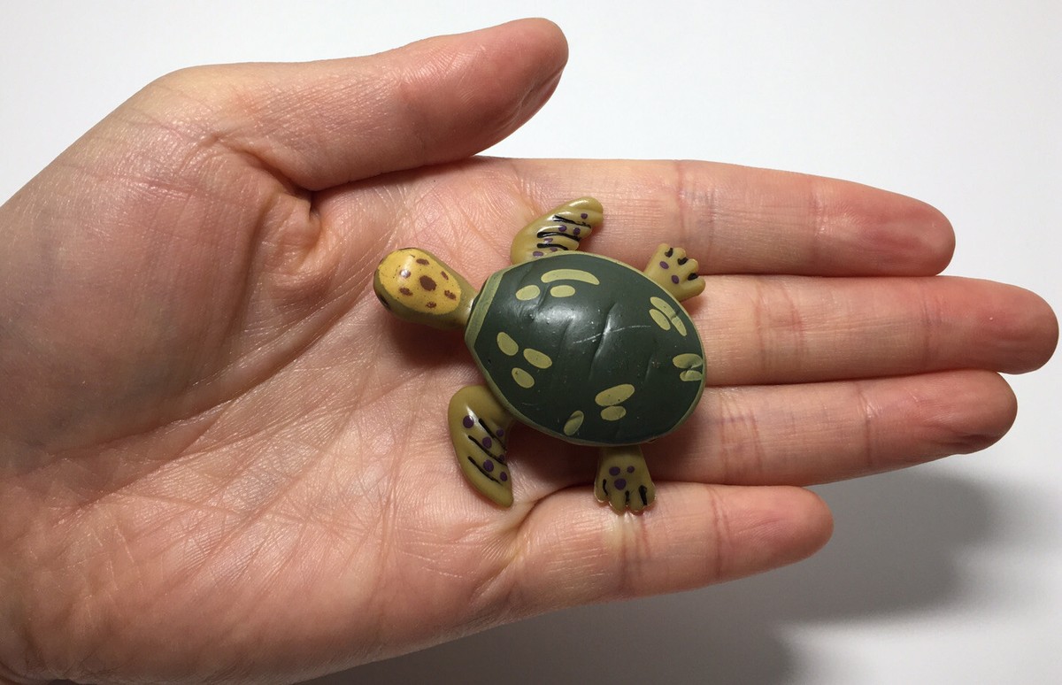 Yowies Turtle