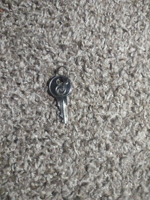 Fire-Lite 17003 OEM Fire Alarm Key Very Good Condition ⚡ Fast Shipping ...