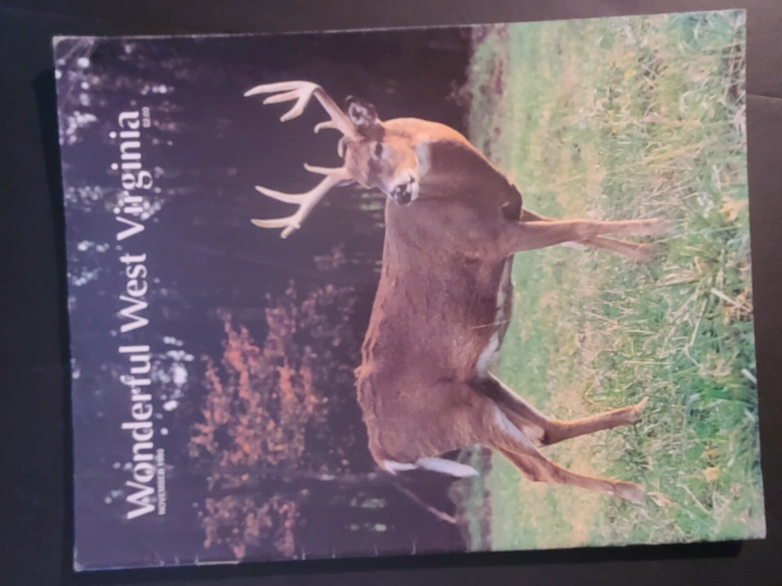 WONDERFUL WEST VIRGINIA Magazine November 1990 SPECIAL HUNTING ISSUE | eBay