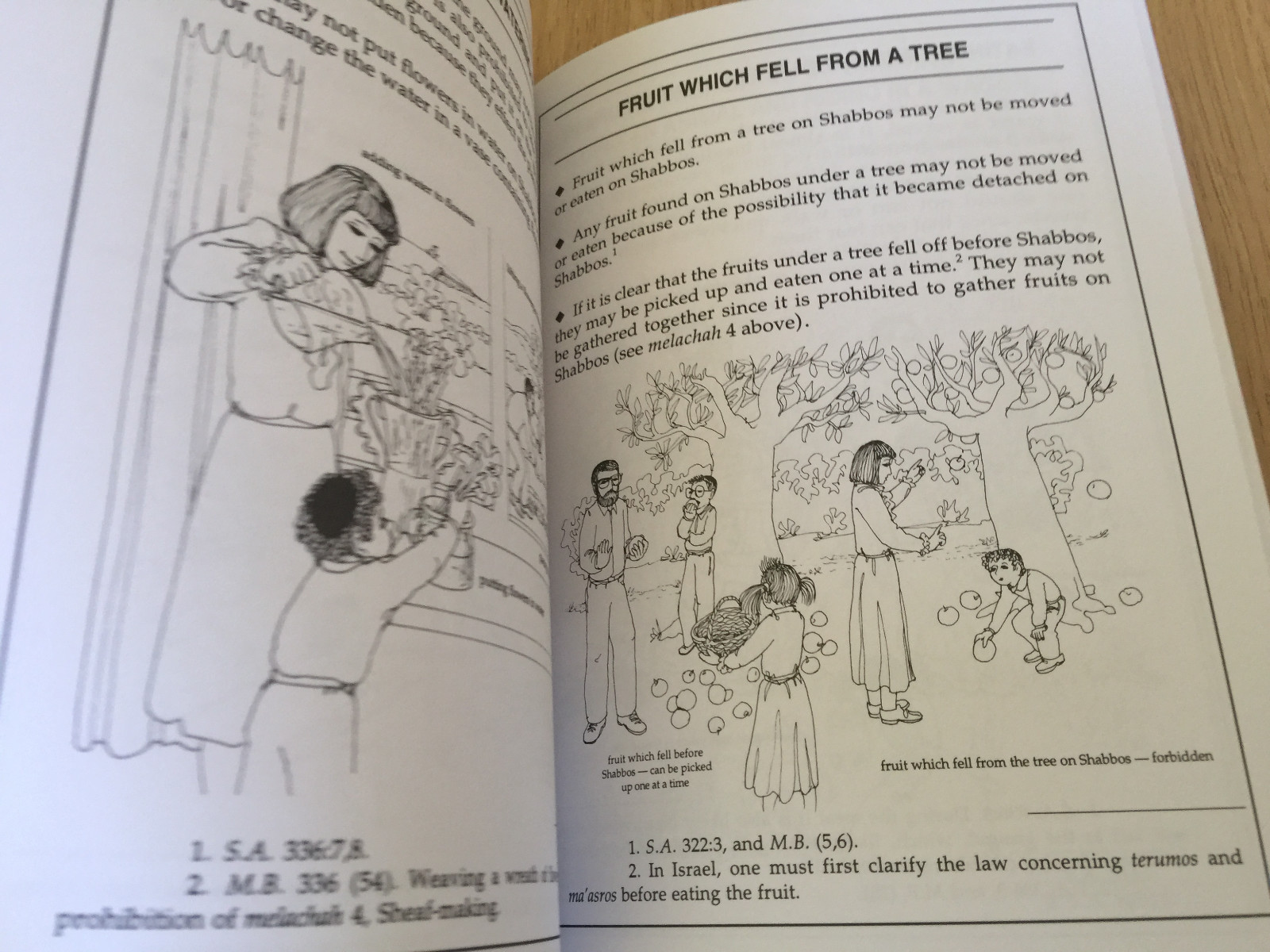 Rabbi Zeev Greenwald ILLUSTRATED GUIDES TO JEWISH LAW Shabbos Vol 2 39 ...