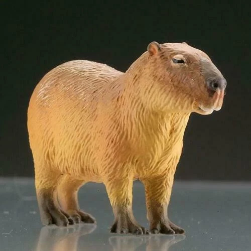 Amazon Capybara