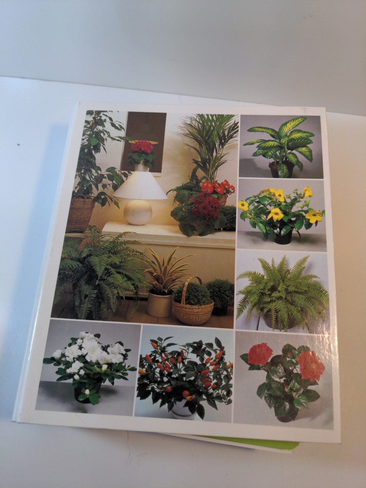 Success with House Plants Binder of Cards/ Gardening Made Easy plus ...