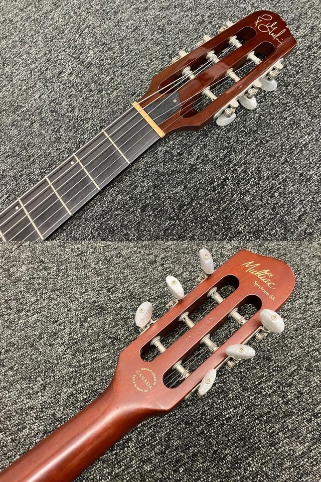 Godin Multiac Spectrum Sa / Steel Model Safe delivery from Japan | eBay
