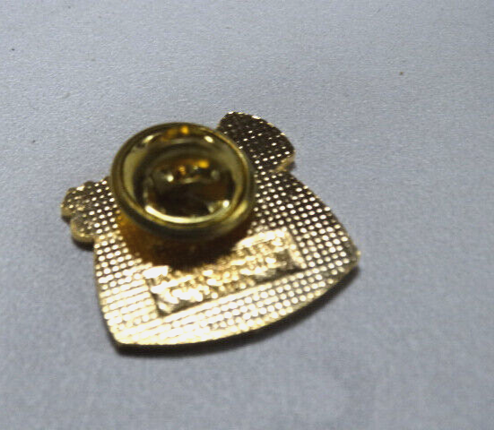 AMA (American Motorcycle Association) 1996 District Tour Vest/Lapel Pin ...