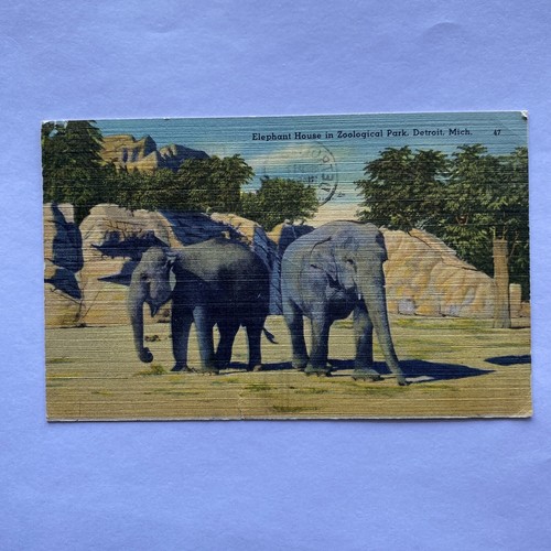 Elephant House In Zoological Park Detroit Michigan MI Linen 1947 Posted ...