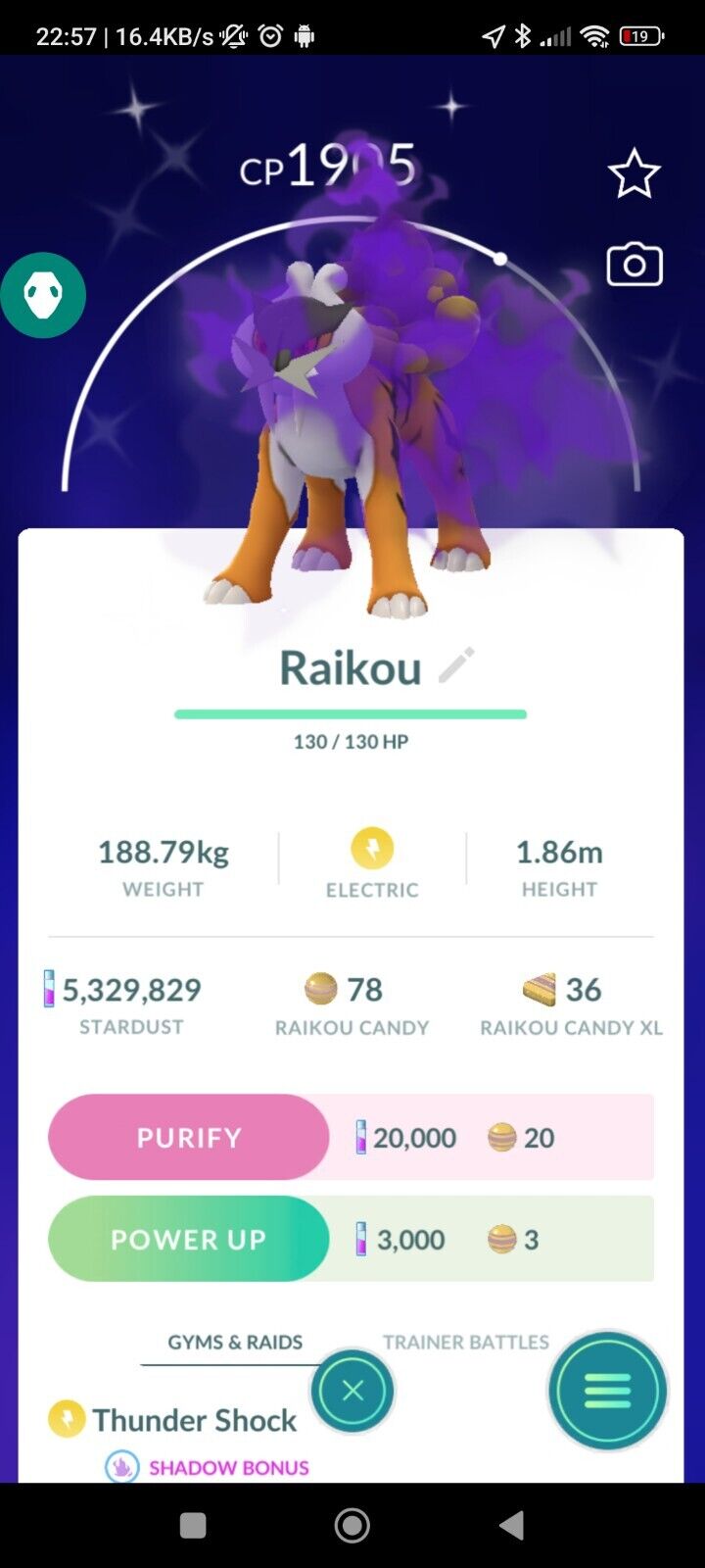 Pokémon Shiny Shadow Raikou GO | eBay