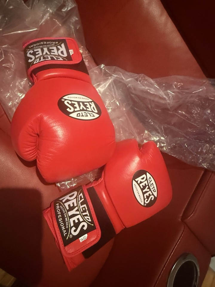 Cleto Reyes Red Training Gloves with Hook and Loop Closure 14 Oz | eBay