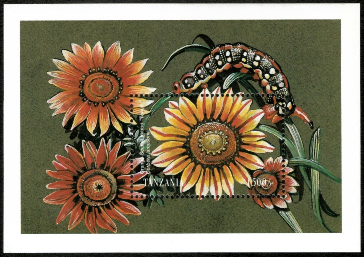 Tanzania 1998 - Flowers & Caterpillar, Tempo - Souvenir Sheet - Scott ...