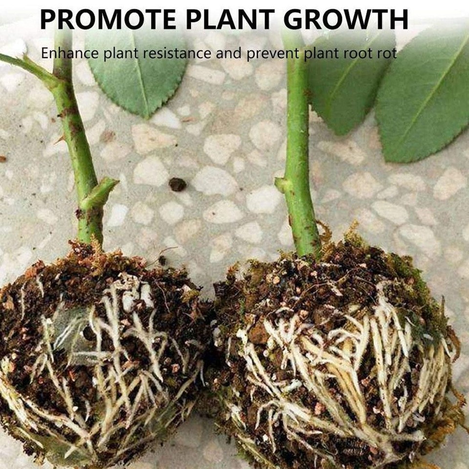 Plant Rooting Devices Growing Grafting Box High Pressure Propagation ...