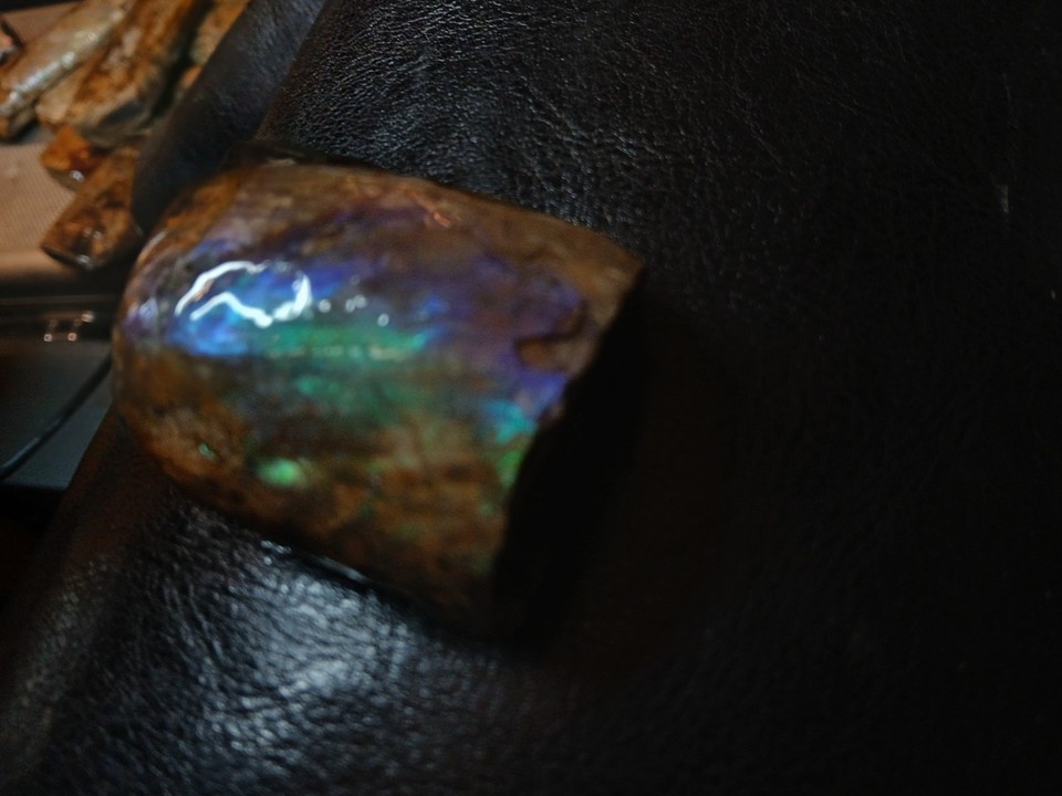 Rare Deeply Colored/Baculite/Ammolite/opalized Brilliant/iridescent/gem ...