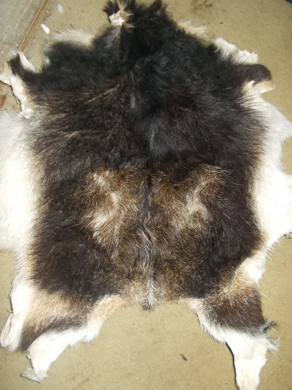 TANNED GOAT HIDE / PELT MADE IN USA | eBay