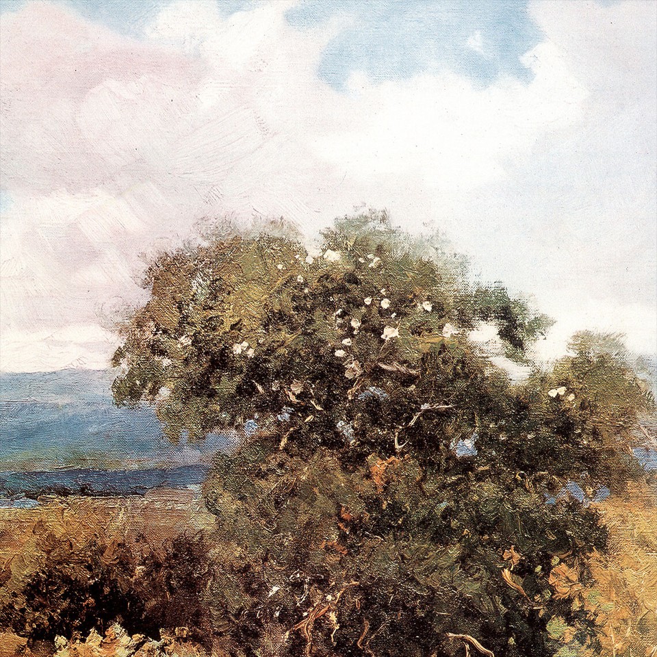 36W"x24H" TEXAS SPRING by ROBERT WOOD - DIRT ROAD OPEN FIELDS HORIZON ...