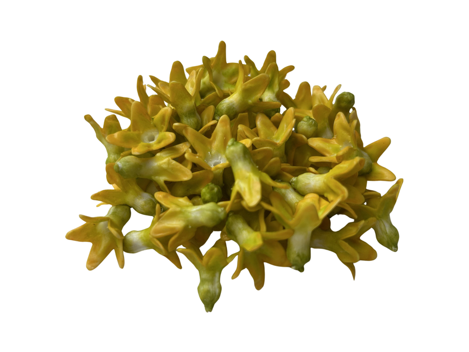 Pakalana Hand Painted Yellow Green Clay Beads for Jewelry Making, Craft ...