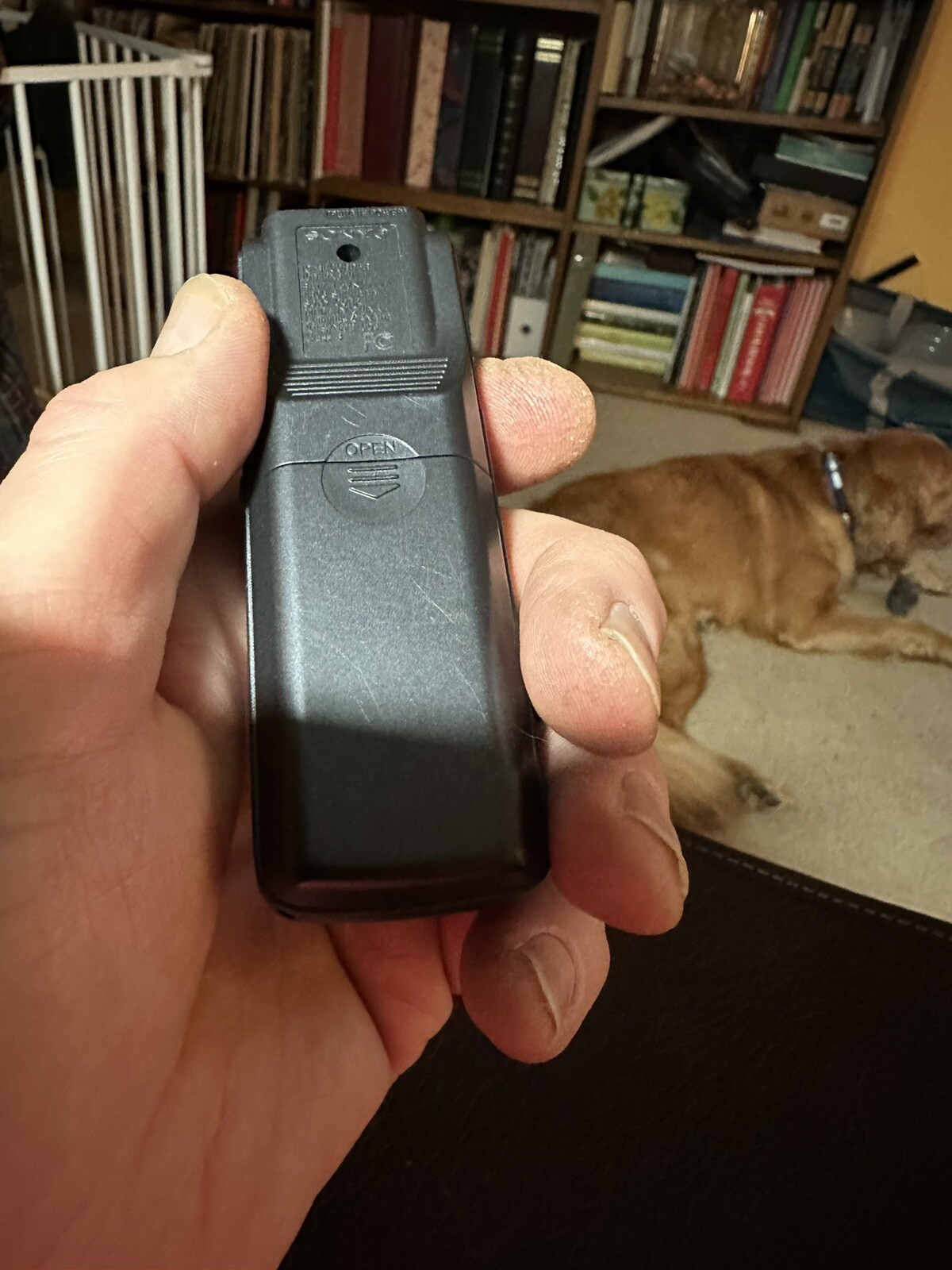 Sony IC Recorder ICD-PX820 Handheld Portable Digital Voice Tested ...