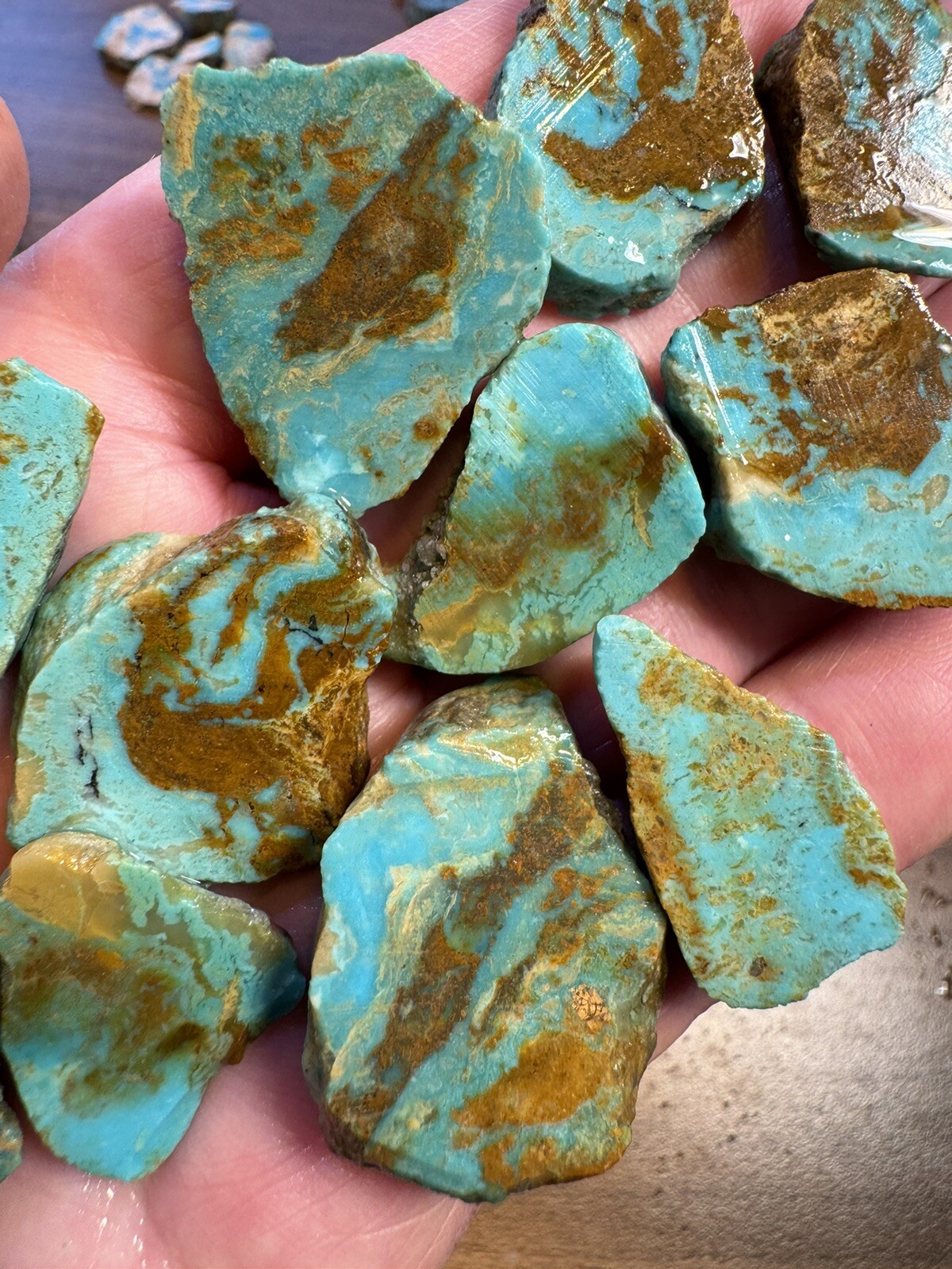 Turquoise Mountain Turquoise. 61 Grams Of slabs! Get What You See ...