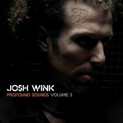 JOSH WINK - Profound Sounds 3 - 2 CD - **Excellent Condition ...