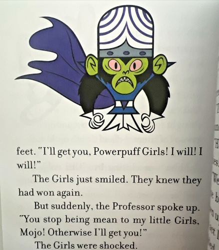 Powerpuff Girls Chapter Book #1:Powerful Professor Cartoon Network Y2K ...