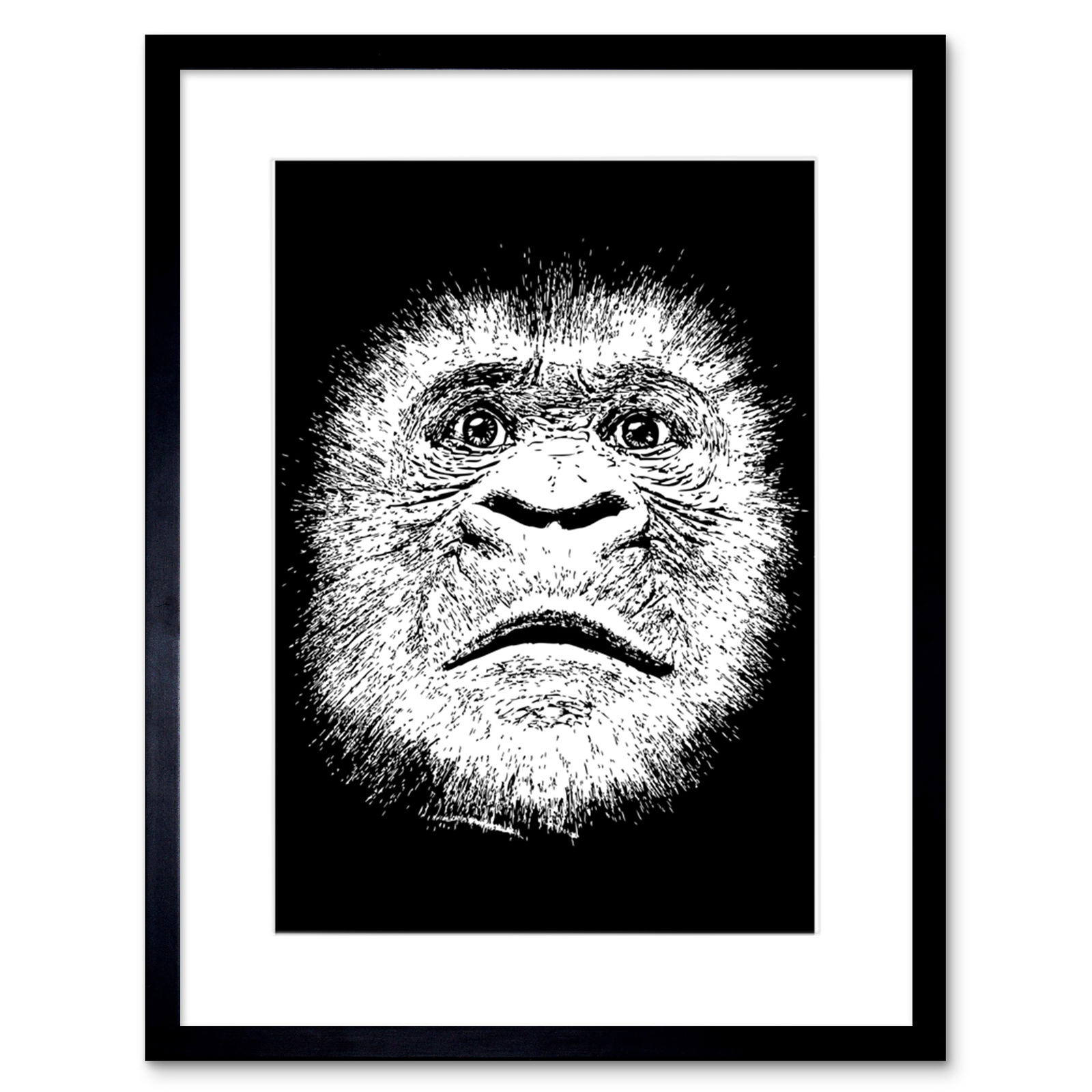 Gorilla Affe Affengesicht Grafik Schwarz-Weiß Gerahmter Kunstdruck ...