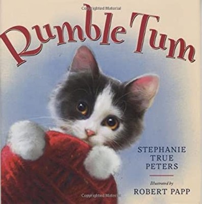Rumble Tum Hardcover Stephanie True Peters 9780525421566| eBay