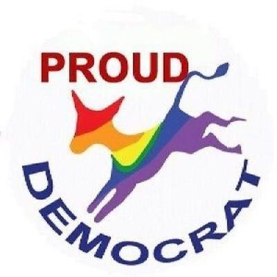 Proud Gay Lesbian Democrat Donkey LGBTQ+ Biden Button Pin Pride LGBT 2 ...