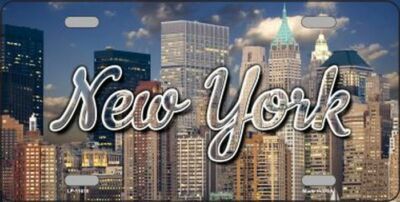 Custom Novelty License Plate Car Tag With New York Manhattan View | eBay