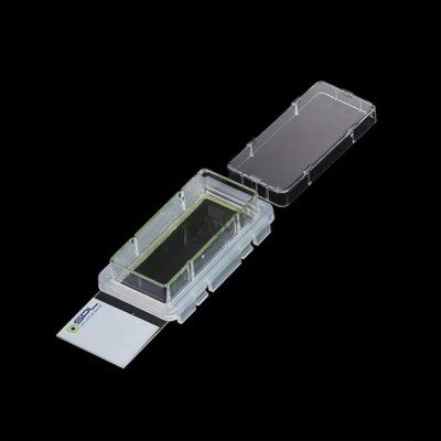 12 Pack Cell culture slide 1 well clear TC treated *Free P&P* | eBay UK