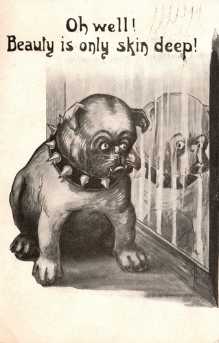 ?Vintage Postcard 1911 Oh Well! Beauty Is Only Skin Deep! Dog Animal ...