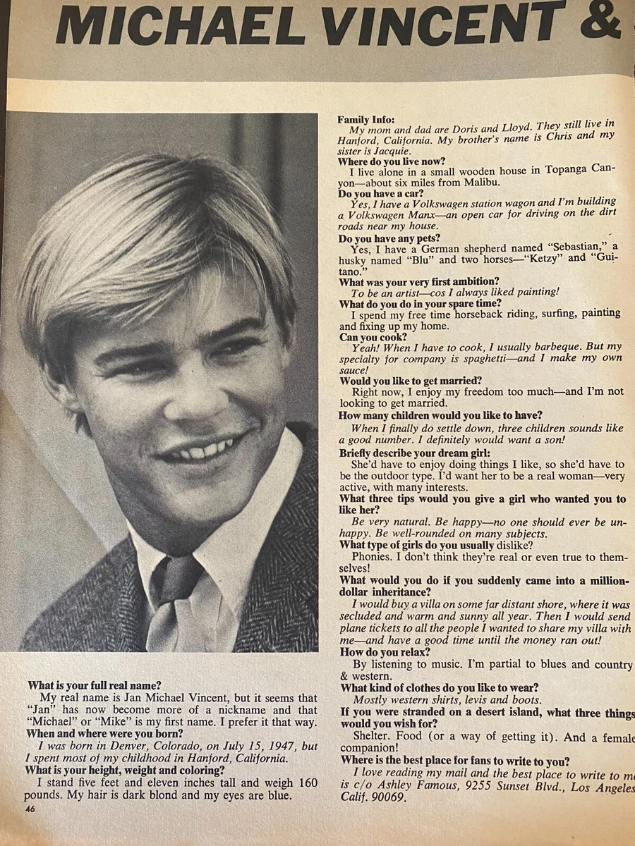 Jan Michael Vincent Now