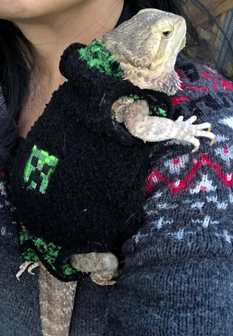 MINECRAFT PRINTS SNUG XLRG SLEEVELESS BODY SHIRT 4 UNISEX BEARDED ...