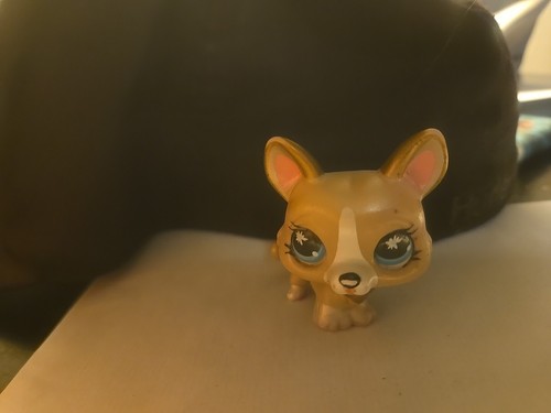 Hasbro Littlest Pet Shop LPS #871 Shimmer Shiny Corgi Dog Beige Gold ...