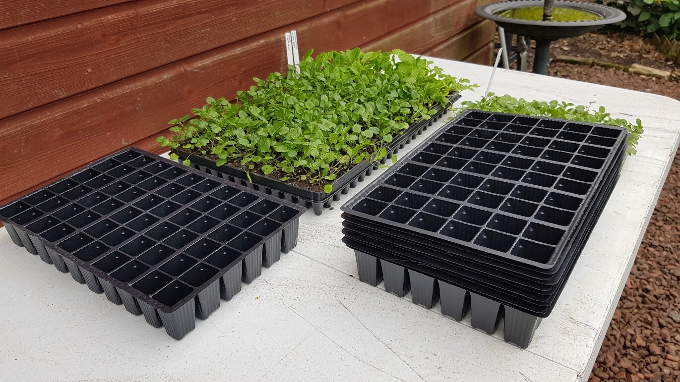 Plant Plug Trays 60 Cells Seed Bedding Grow Trays 2 5 10 | eBay UK