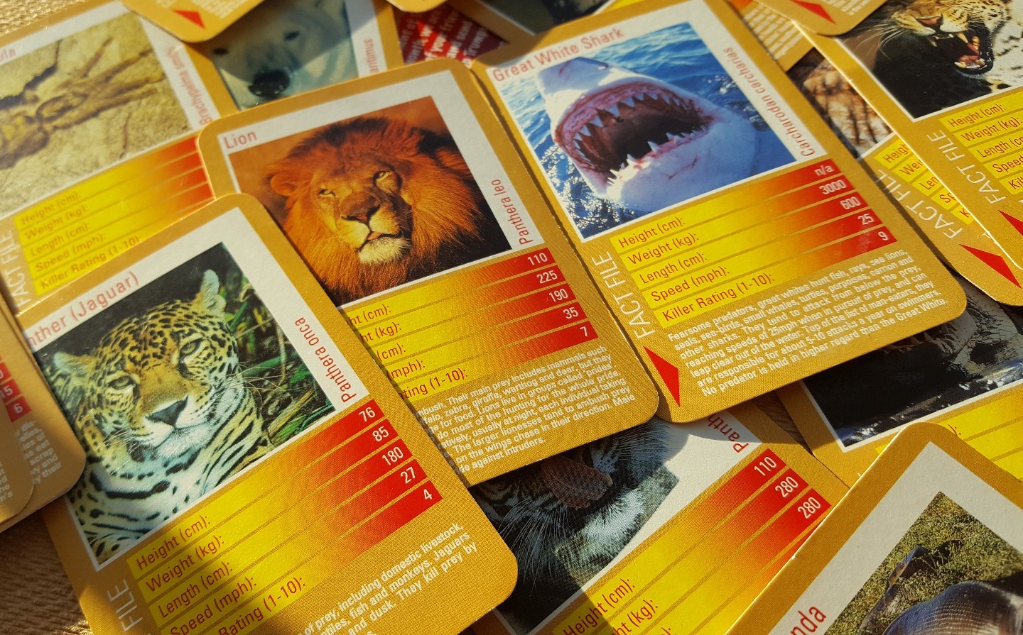 Top Trumps Predators Arctic Fox, Killer Whale, Anaconda, Praying Mantis ...