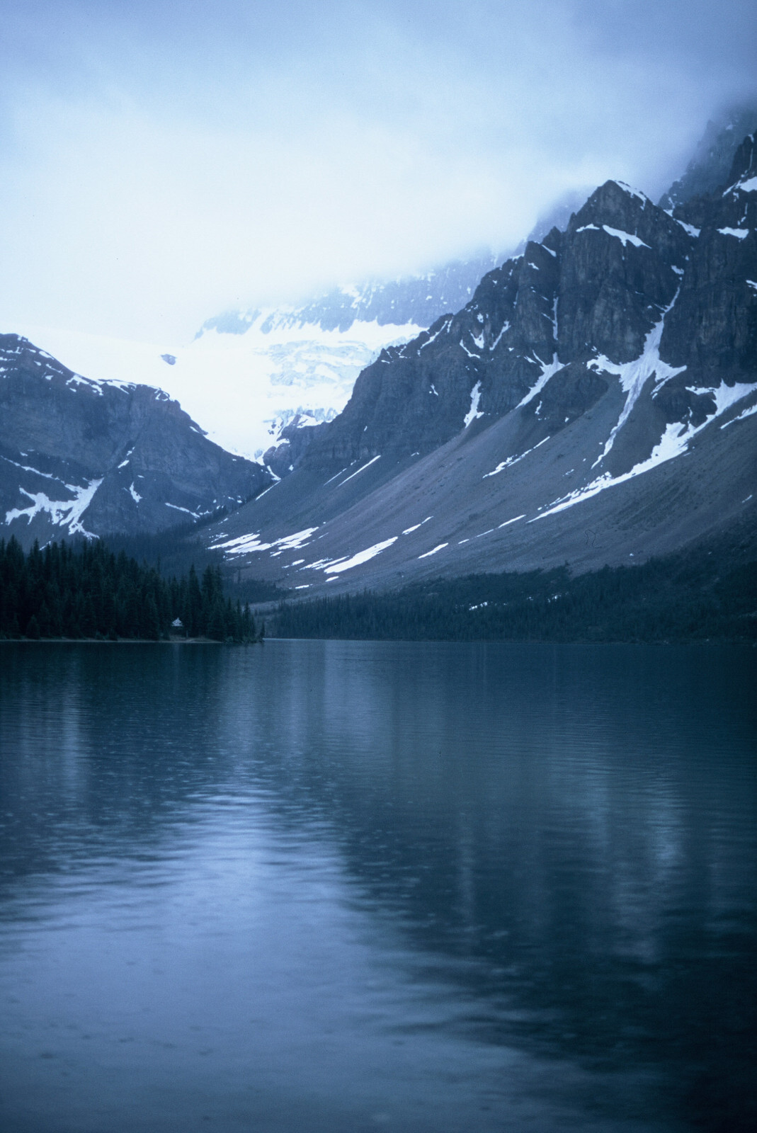 Fujifilm Fujichrome PROVIA 100F/ 135-36 Shots Color Reversal Slide Film ...