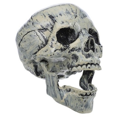 Fake Resin Skull with Moveable Jaw Halloween Decoration for Party ...