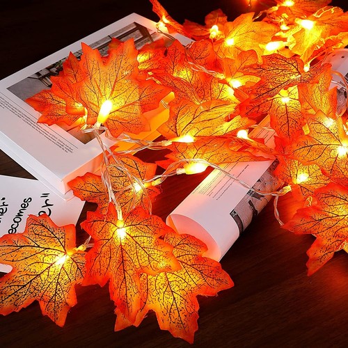 Fall Decor String Lights for Home, 2Pack 20Ft 40LED Fall Garland Lights ...