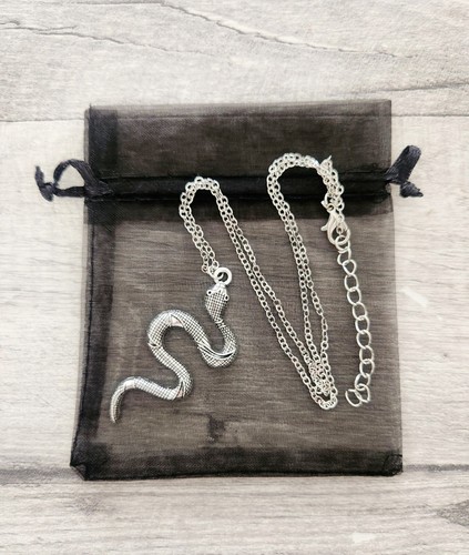 Snake necklace, silver metal ERAS Tour Reputation Jewellery, Taylor ...