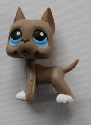Hasbro LPS PETSHOP Littlest Pet shop CHIEN DOGUE ARGENTIN DANOIS DOG ...