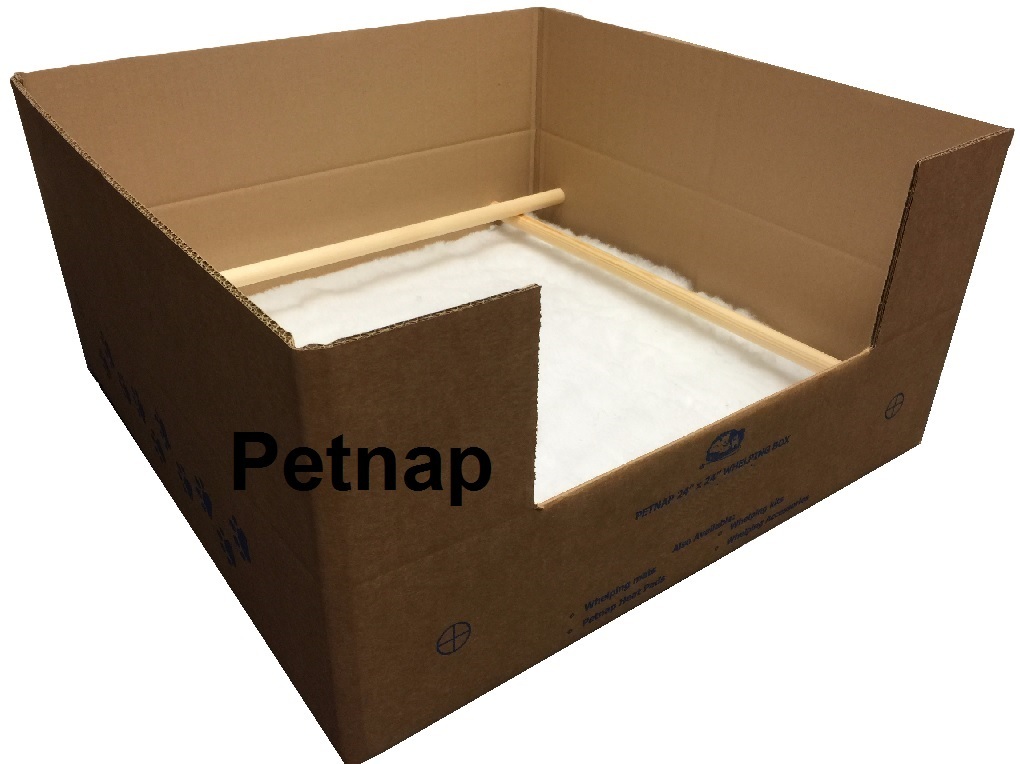 Whelping Box Cardboard Disposable Dog Puppy Cat (ALL SIZES 24" 30" 36 ...