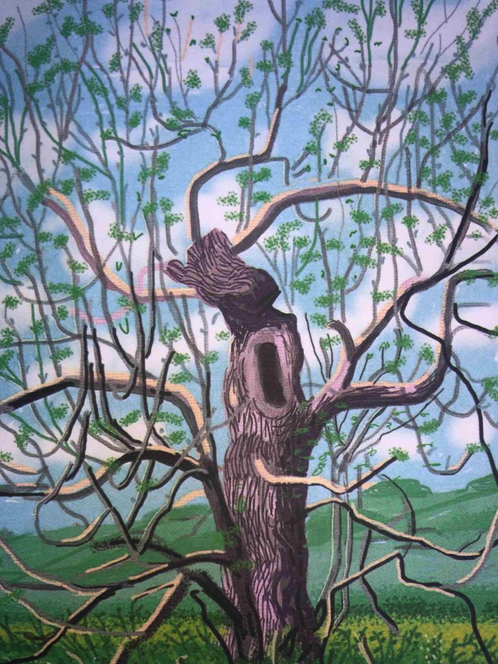 David Hockney Lithography off set cm 50x35 Signing on plate with ...