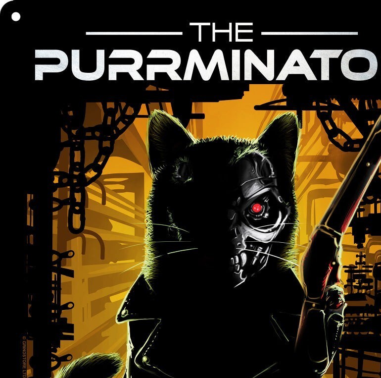 Terminator Cat Memes Wild And Weird Names New Yorkers Call Their Cats