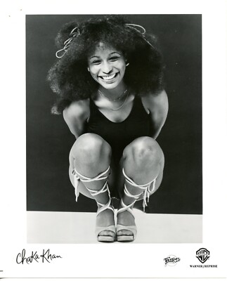 CHAKA KHAN - HER DEBUT SOLO ALBUM - 1978 - ORIGINAL MUSIC PRESS 8" X 10 ...