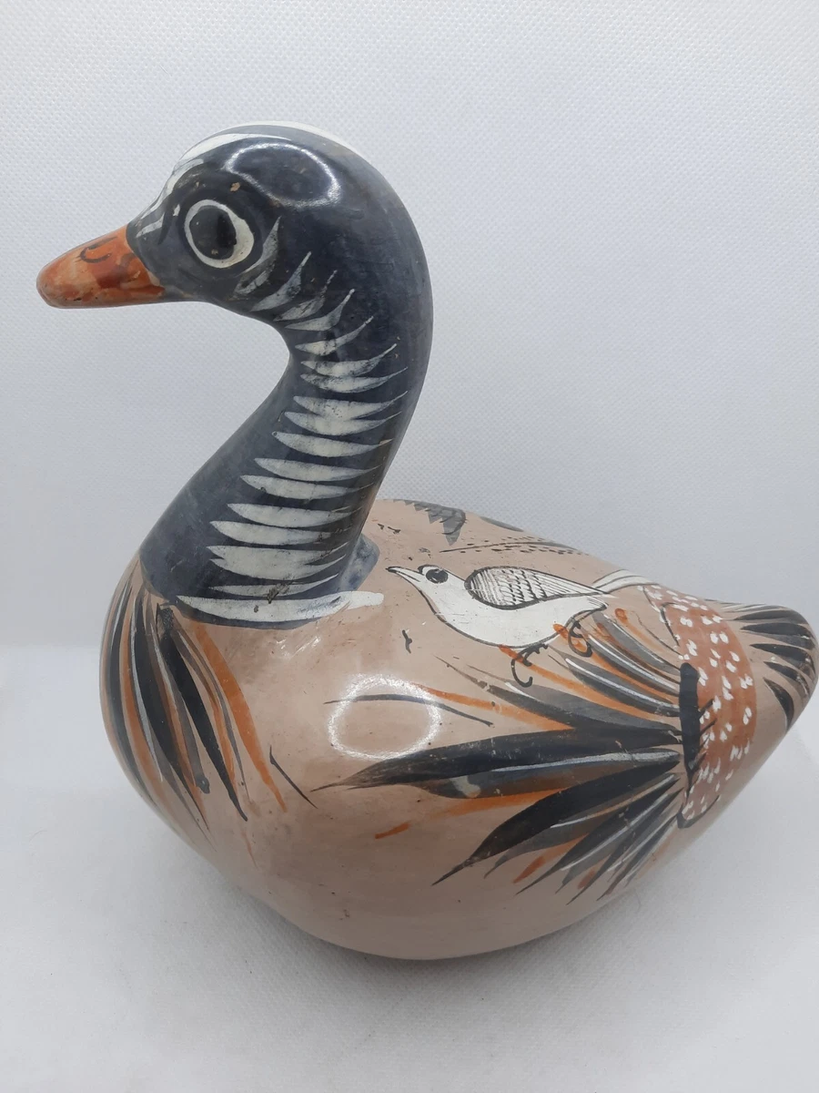 Mexican Duck Duck Goose