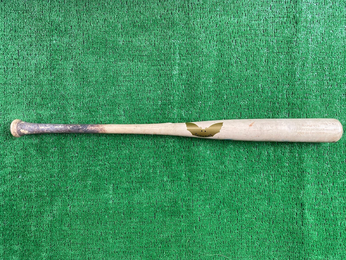 Gareth Morgan Baseball