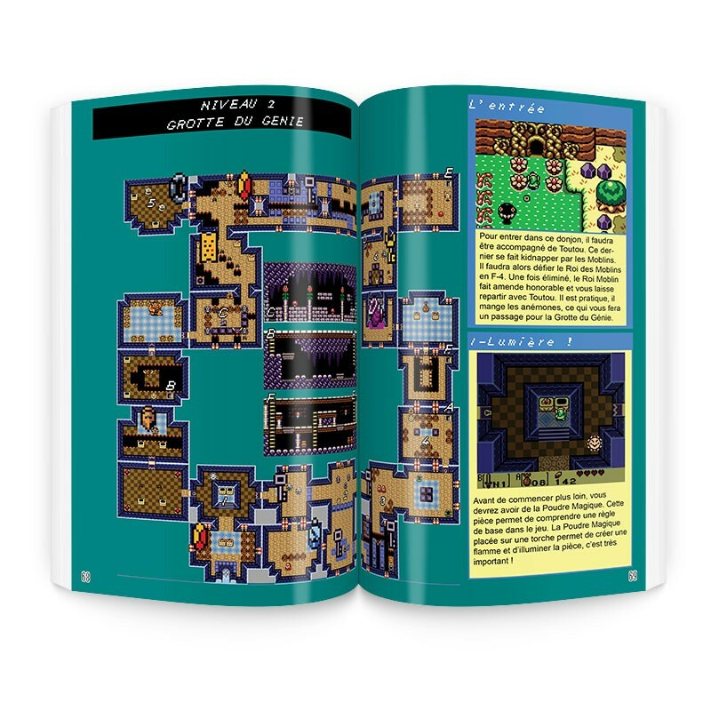 Guide Zelda Link's Awakening DX - FR (game boy color gb Echoes of ...