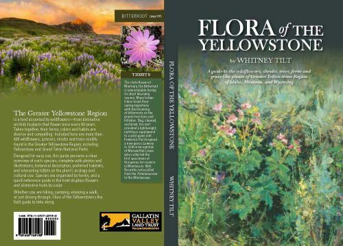 Flora of the Yellowstone : A Guide to the Wildflowers, Shrubs, Trees ...