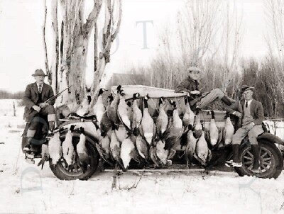ANTIQUE REPRO 8x10 PHOTOGRAPH HUNTER'S WITH LOTS OF CANADA GEESE | eBay