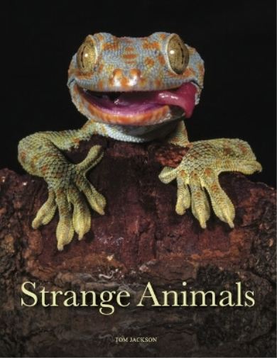 Tom Jackson Strange Animals (Hardback) Animals 9781838862824 | eBay